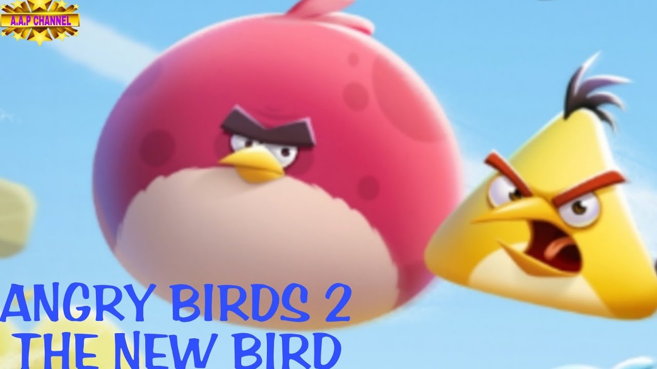 ANGRY BIRDS 2 THE NEW BIRD - YouTube