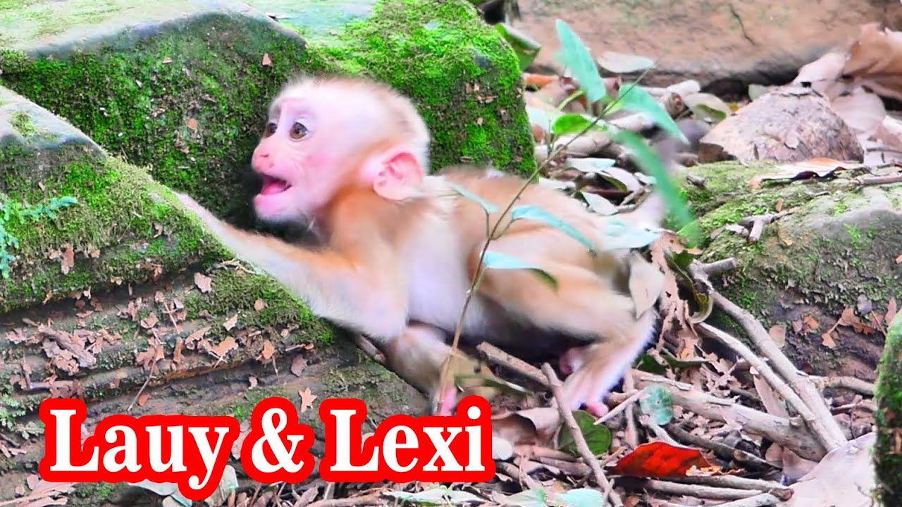 What happen Lexi? Angry mother Lauy?.. - YouTube