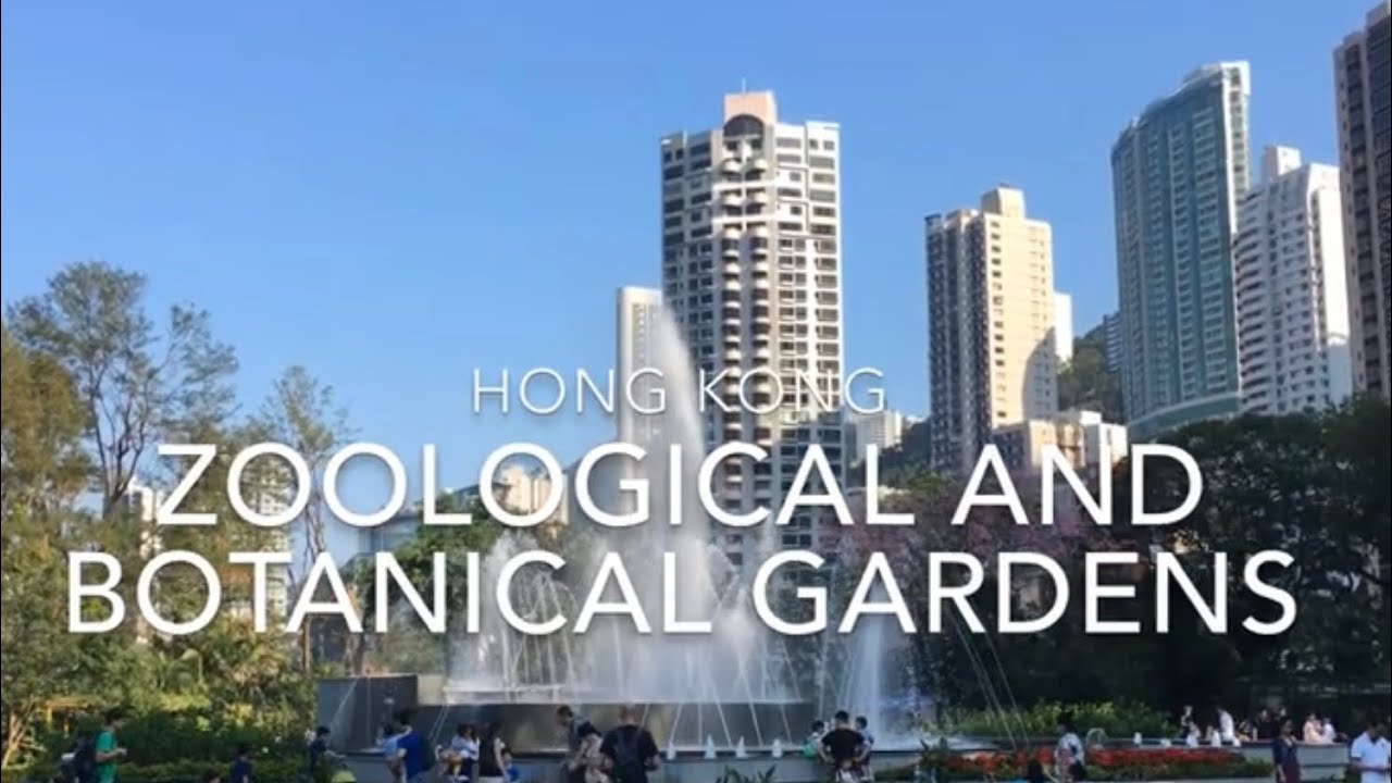 HONGKONG ZOOLOGICAL AND BOTANICAL GARDENS - YouTube