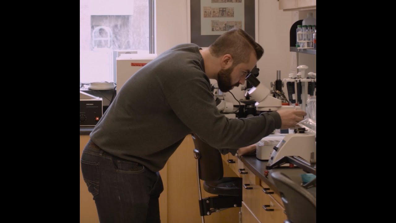 How I RISE began: Founder Kevin Amir Ghaffari - YouTube