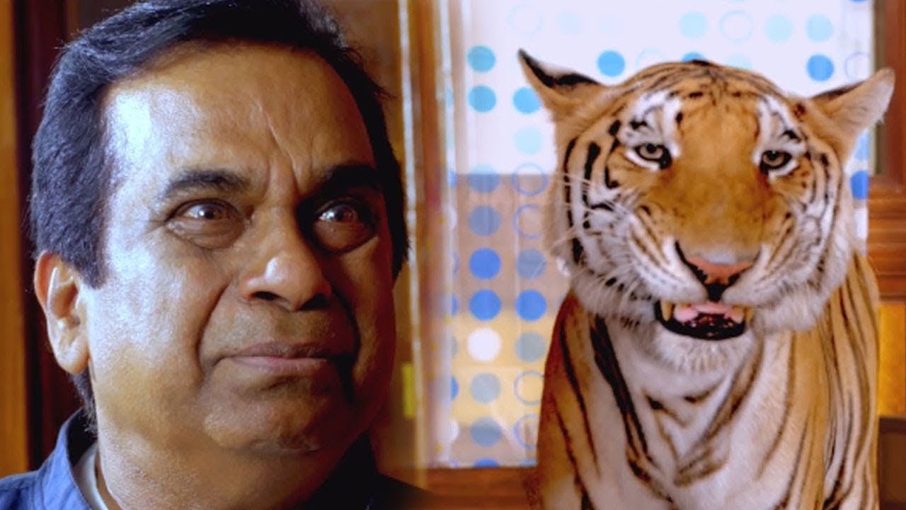 Action 3D Movie Scenes | Brahmanandam Best Comedy Scene | i Dream - YouTube