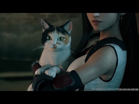 Final Fantasy 7 Remake: Let there be Cats!! - YouTube