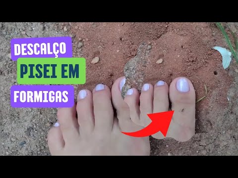 descalço pisei em #formigas #desafio - YouTube