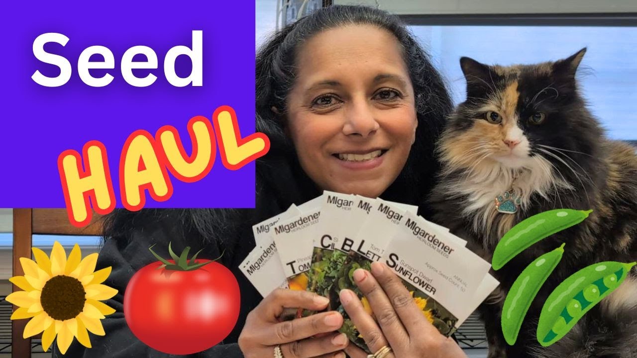 Seed Haul | Heirloom Tomatoes | Vegetables | Herbs | Flowers || Budget ...