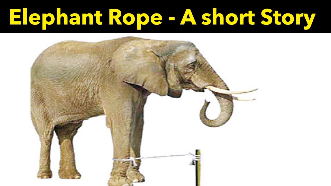 Elephant's Rope - Motivational short story - YouTube