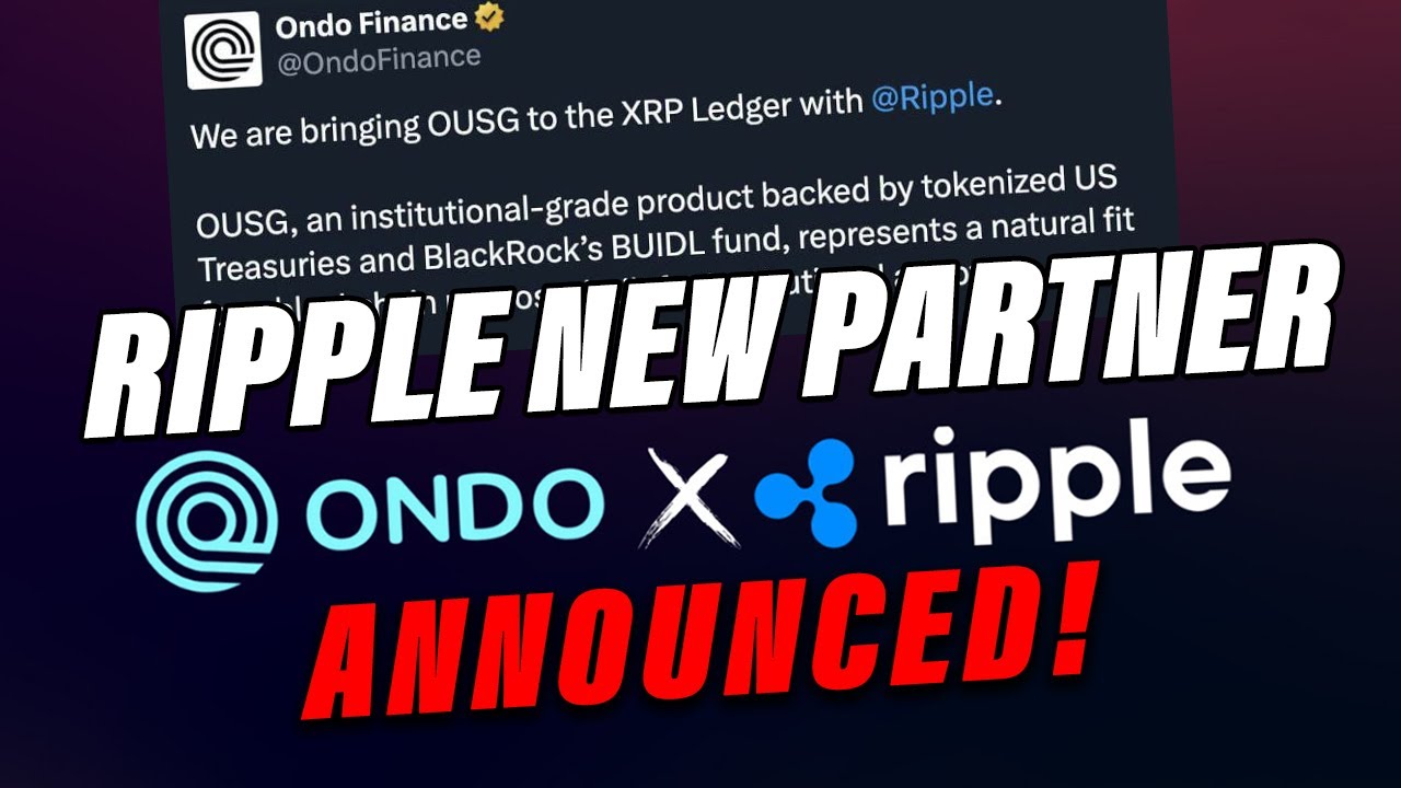 Ripple XRP News - NEW RIPPLE PARTNER ANNOUNCED! 30x GEM YOU NEED TO PAY ...