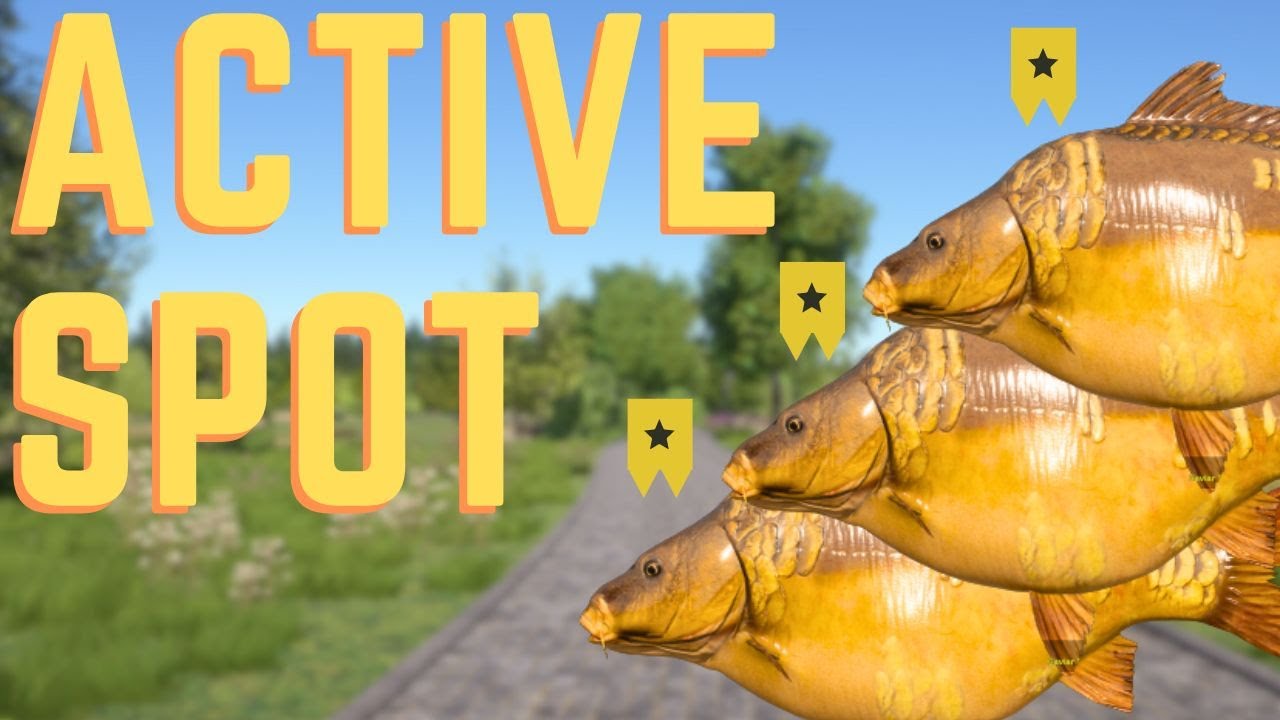 3x Mirror Carp Trophies in 30 min | The Curse of the Mirrors | Amber ...