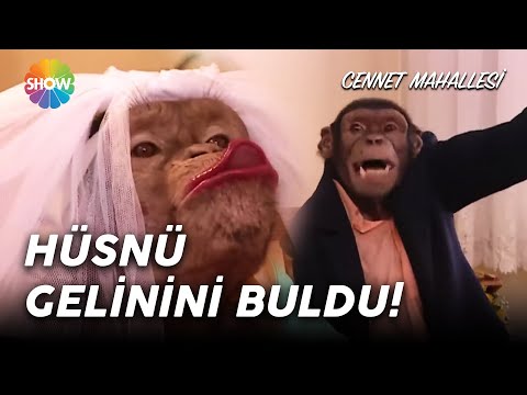 Cennet Mahallesi 81. Bölüm | Hüsnü'ye kız istediler!