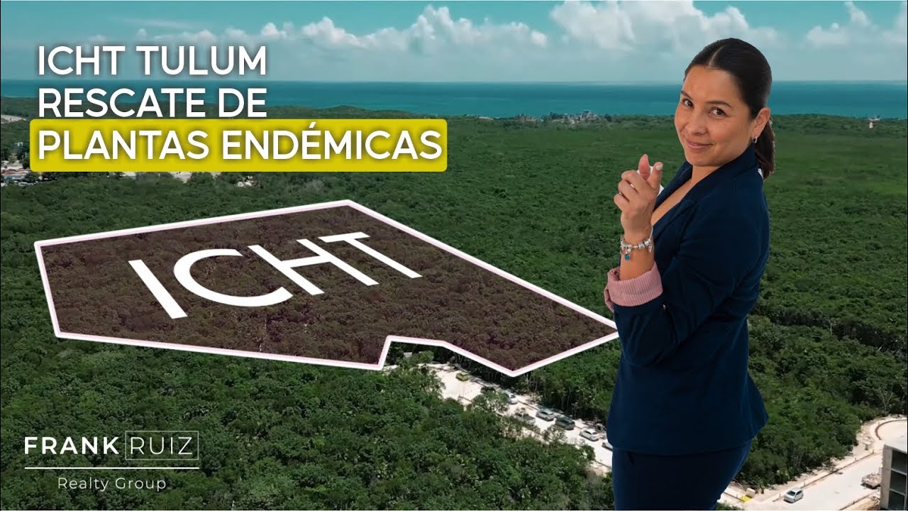RESCATE DE PLANTAS ENDEMICAS ICHT TULUM - YouTube