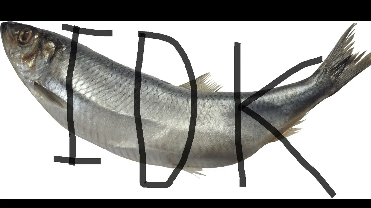 idk fish use if you want - YouTube