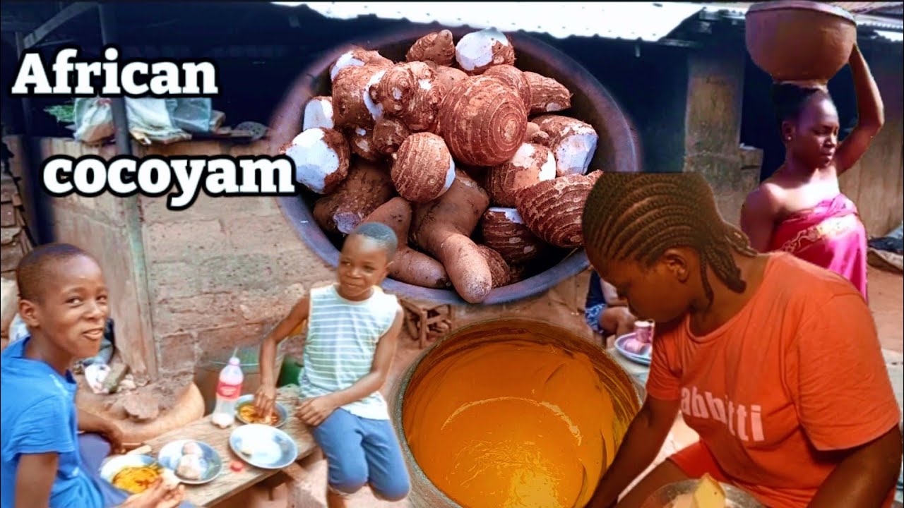Unfiltered village life // Cooking AFRICAN COCOYAM & SAUCE + LIVING IN ...