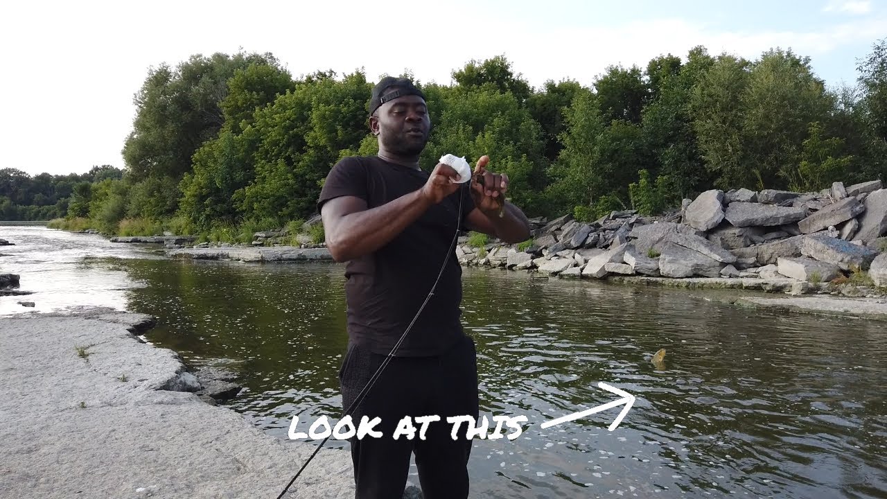 Epic Fishing Day! Crazy CatFish Action! - YouTube