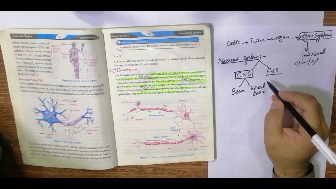 8th Class || General Science || Lecture # 1 - YouTube
