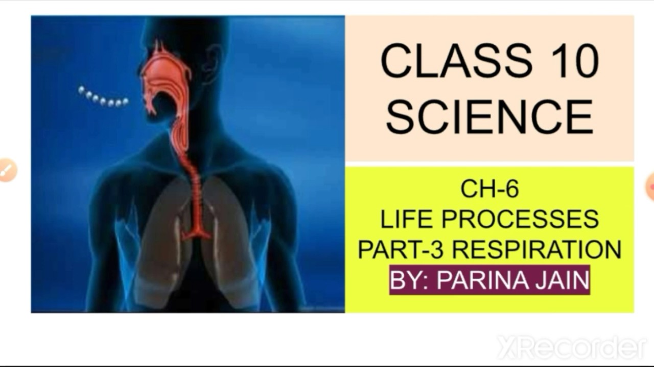 Class 10th, Science(Biology) , ch-6th, Life Processes, Part-3 ...