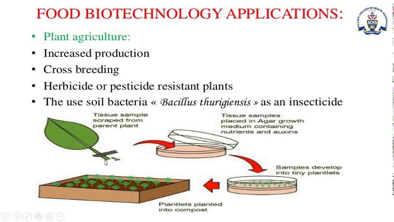 Introduction to food biotechnology Lecture # 01/HND third semester/2019 ...