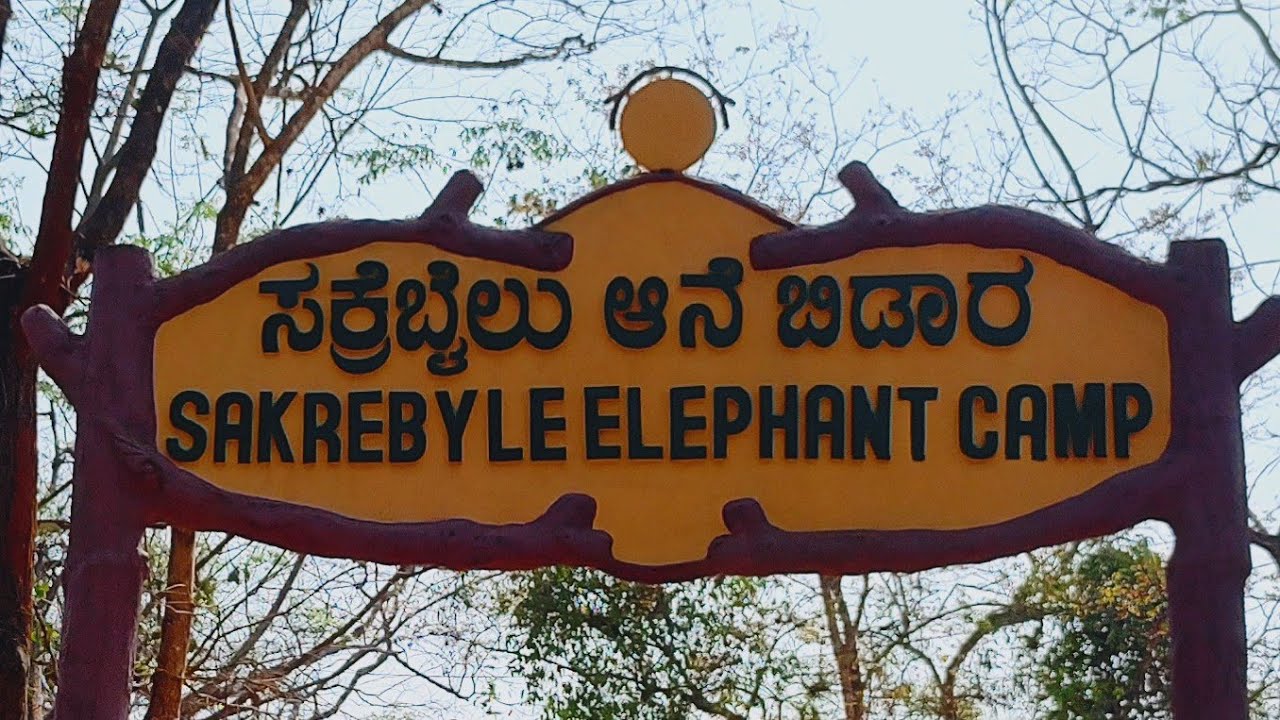 Sakrebyle Elephant Camp | Must visir near Shimoga | Sakrebailu elephant ...