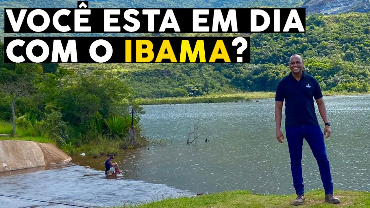 RAPP do IBAMA, como fazer? - YouTube