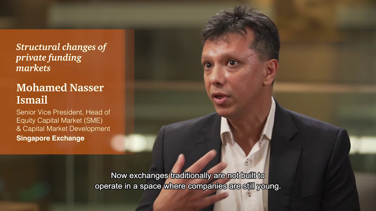 2017 APEC CEO Survey in-depth interview with Mohamed Nasser Ismail, SVP ...