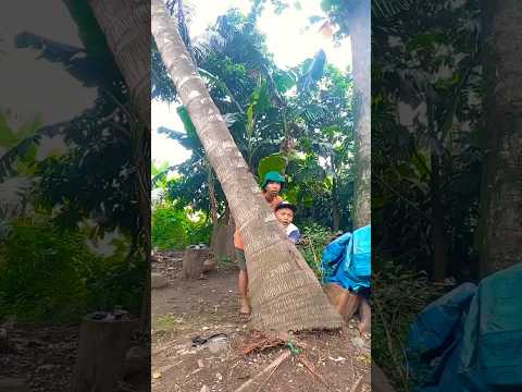 bagol ngintip emak nya sendiri