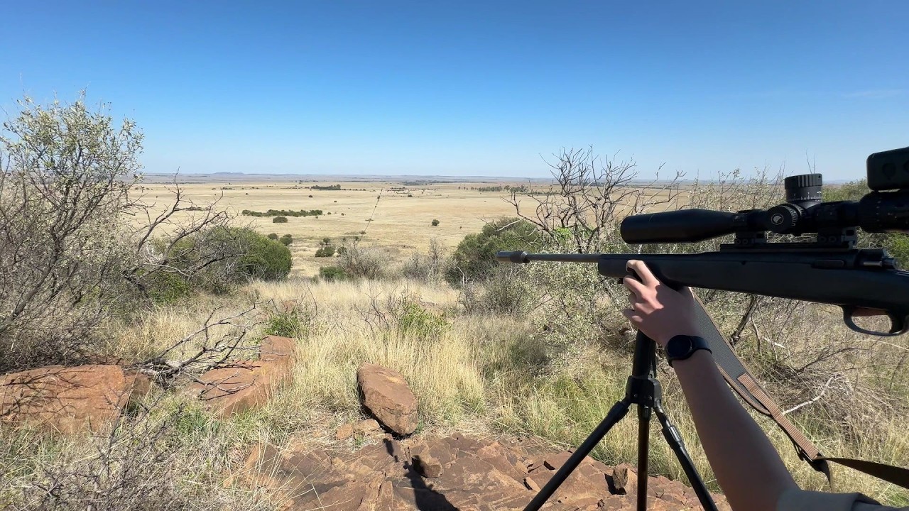 Get READY for the WILDEST Warthog Adventure! - YouTube
