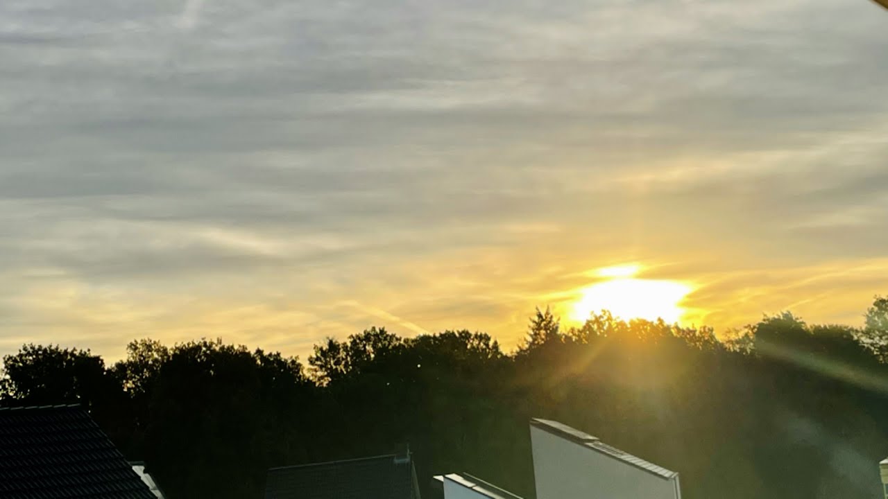 Good Morning Netherlands #shorts - YouTube