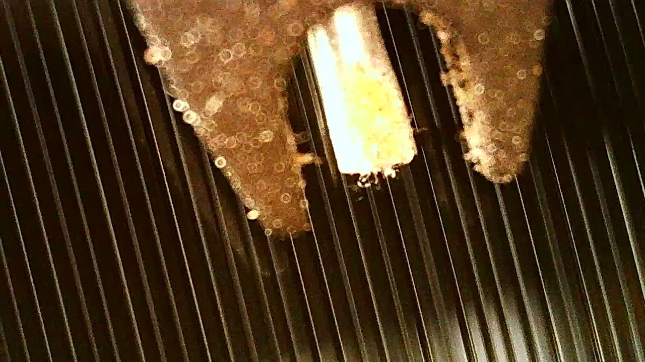 Ortofon Pro S & vinyl record grooves - Microscope view - Test 3 ...