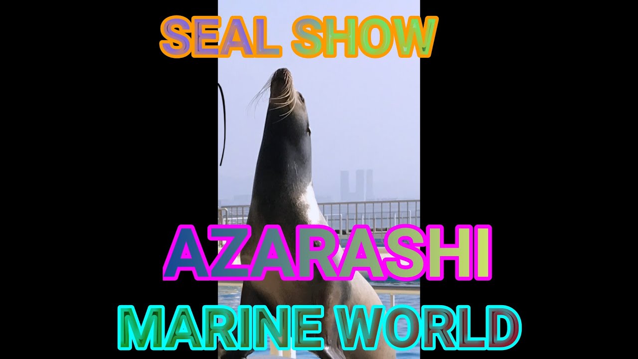 SEAL SHOW ( AZARASHI) - YouTube