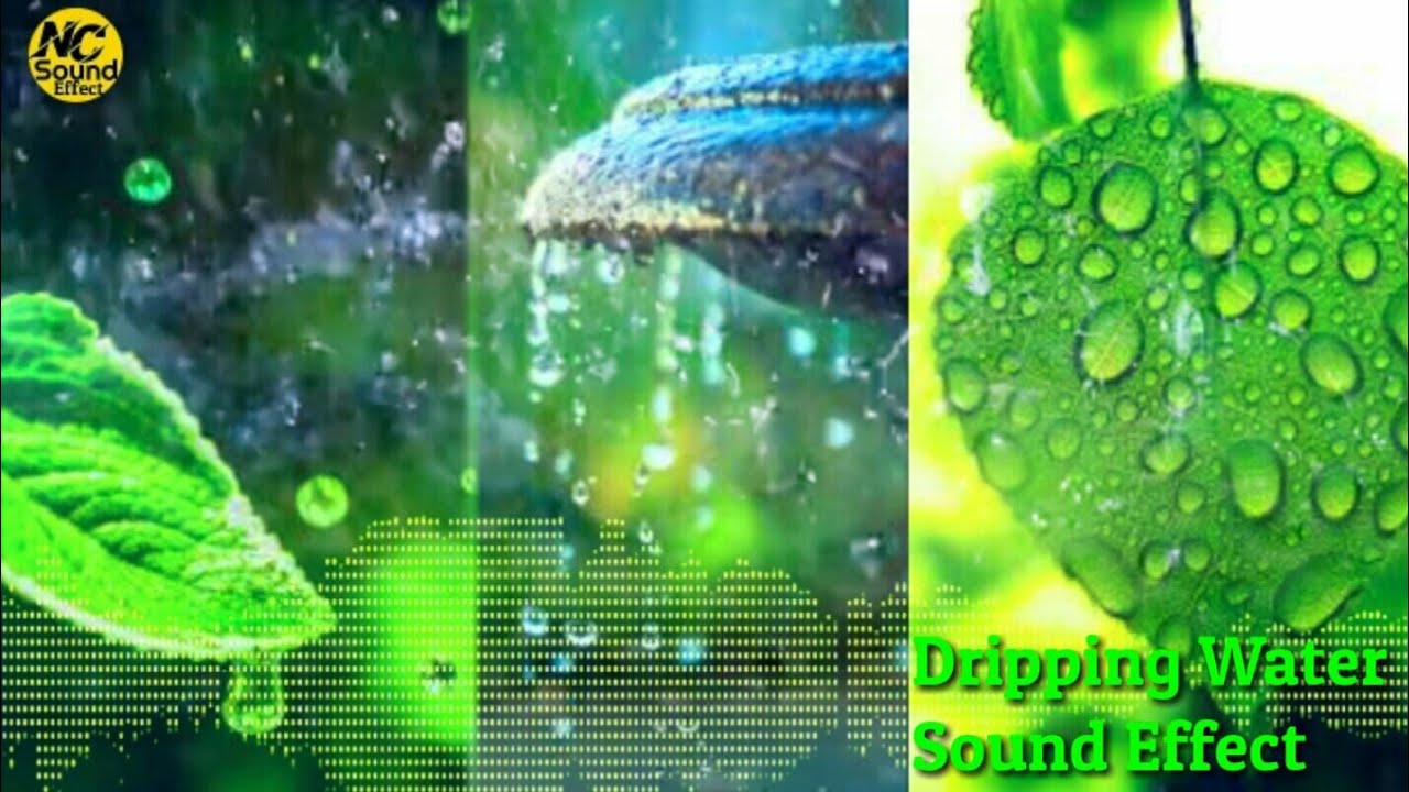 Dripping water nature sounds effects Music by NC sound effect you can ...
