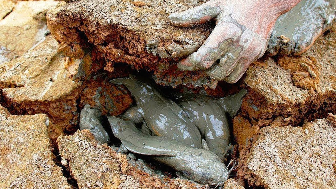 10 MOST AMAZING FISHING DISCOVERIES! - YouTube