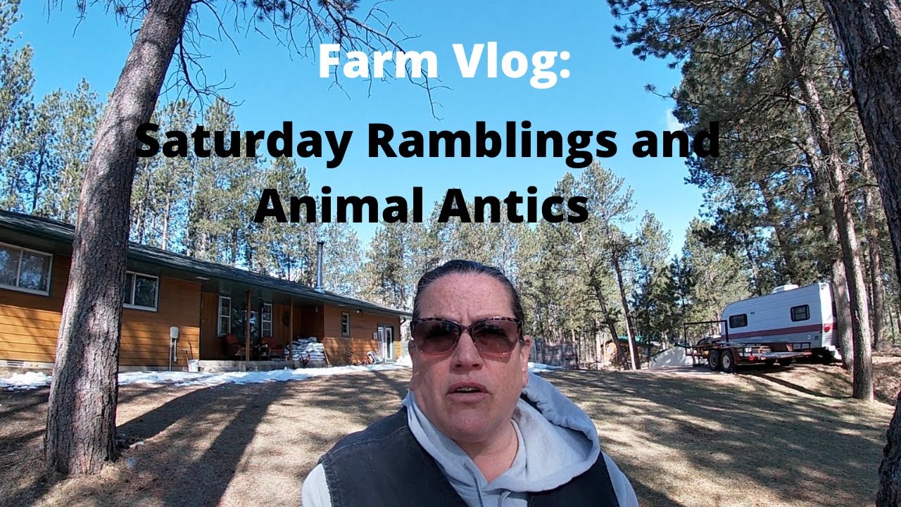 Farm Vlog: Saturday Ramblings and Animal Antics! - YouTube