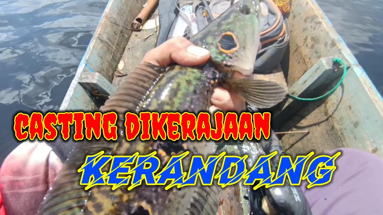 Spot wilayah kerandang #castingkerandang - YouTube