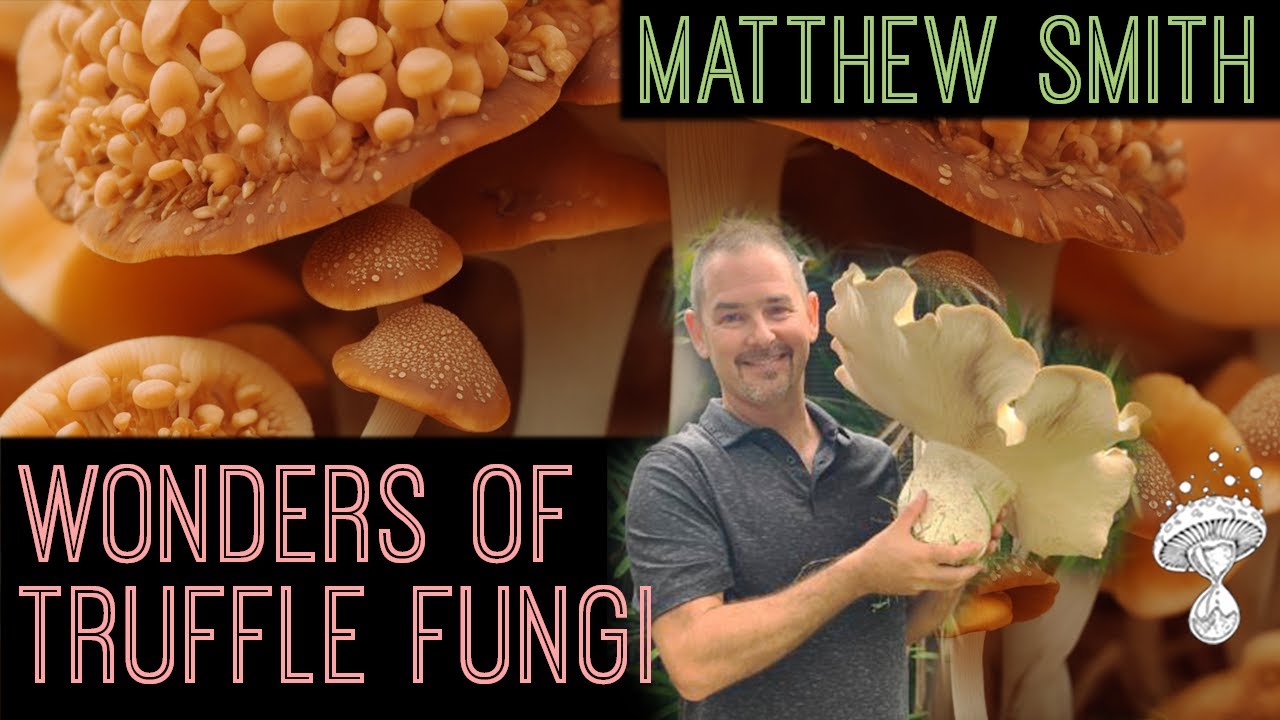 Exploring the Endless Wonders of Truffle Fungi || Dr. Matthew Smith ...