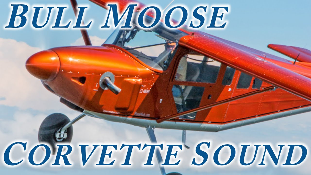 The Bull Moose With Corvette Sound - YouTube