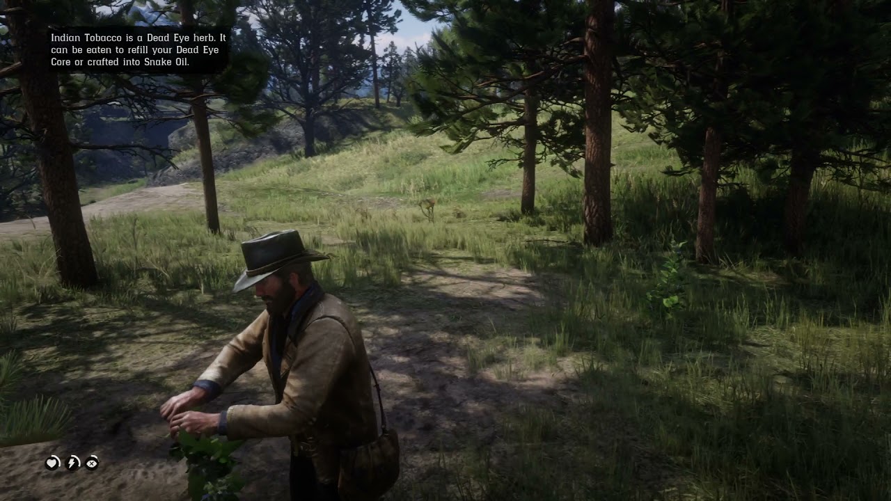 Red Dead Redemption 2 Best places to find Indian Tobacco - YouTube