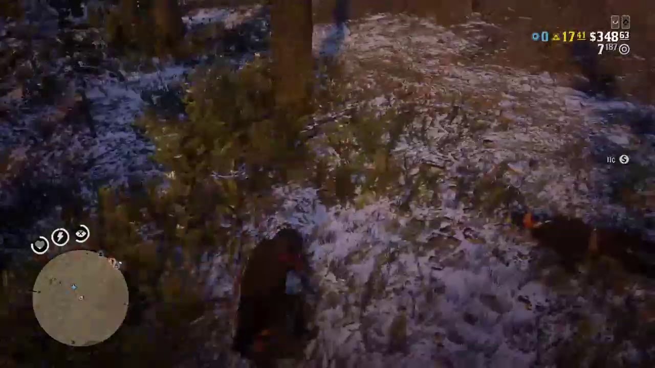 RDRD2 : Online Gameplay Posse - YouTube