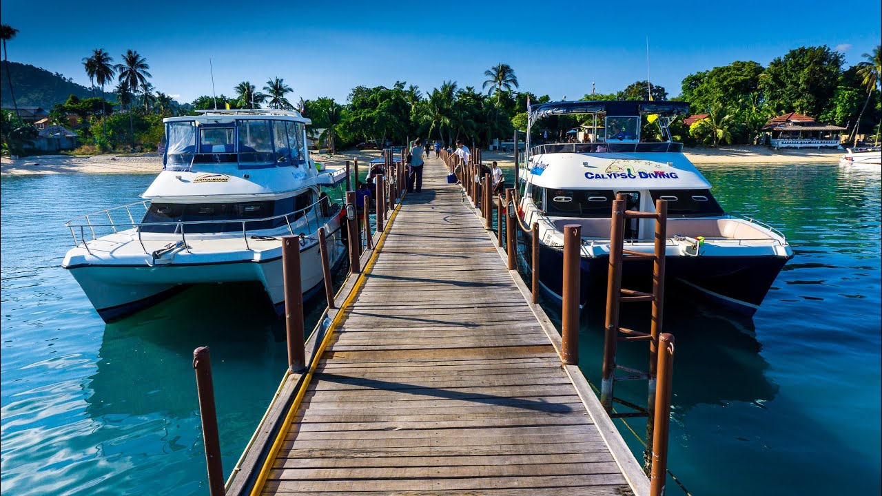 Koh Samui Diving Snorkeling with Calypso Diving Koh Samui - YouTube