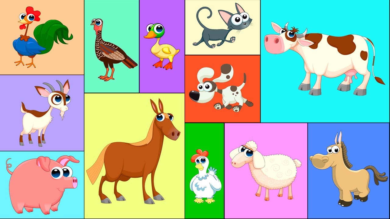 Animalele Domestice de la Ferma - Cantece pentru copii | Animatii TV ...