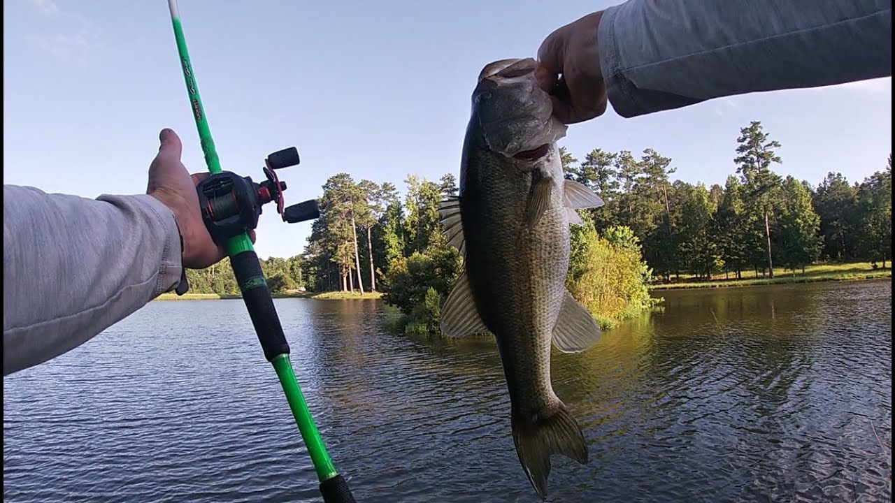 How to Catch Fish in July, Throwing Confidence Baits for Big Fish, (New ...