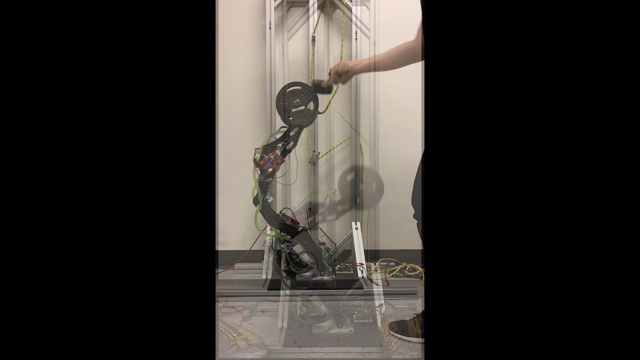 Liquid Cooled Viscoelastic Leg System - Comprehensive Testing - YouTube