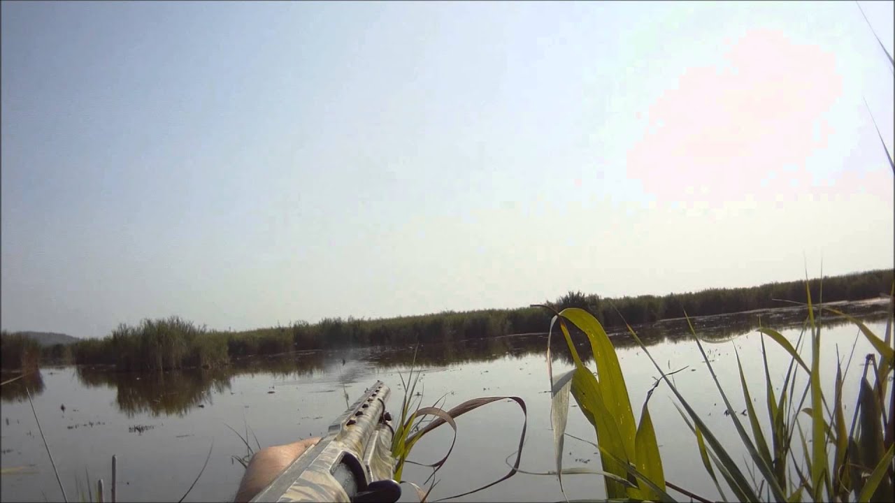 Duck Hunting 2013-14 N-M 2 Benelli M2 camo - YouTube