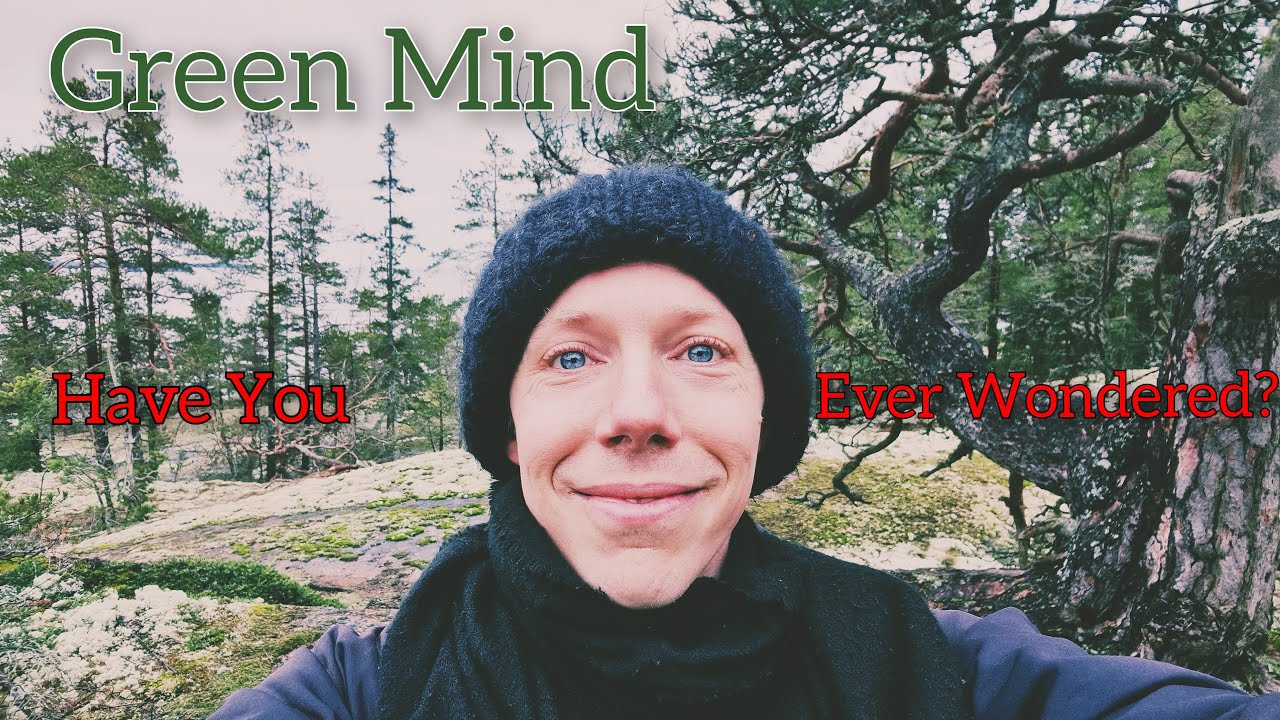 Green Mind - Have You Ever Wondered OFFICIAL MUSIC VIDEO - YouTube