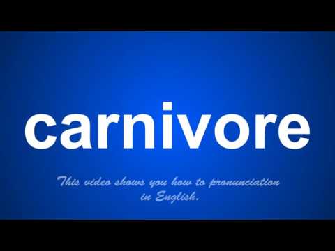 the correct pronunciation of carnivore in English. - YouTube