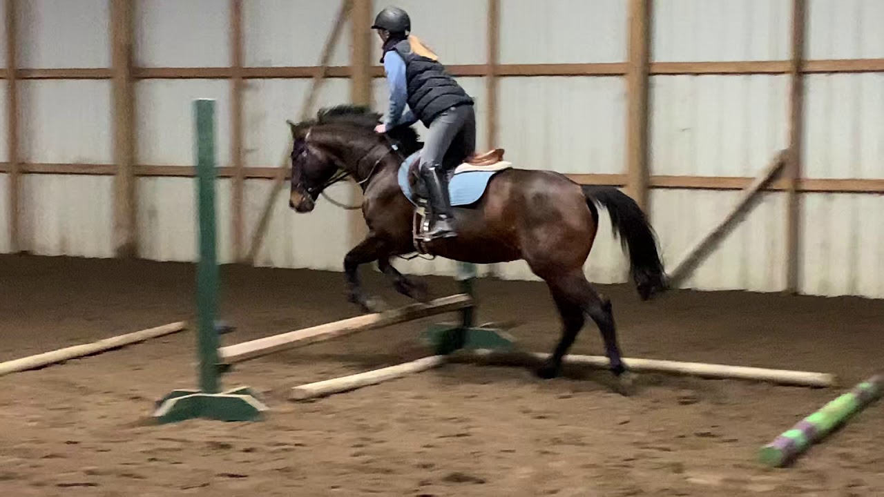 Horse Riding Practice 1-4-20 - YouTube