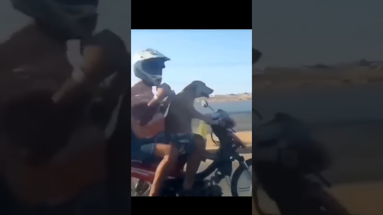 Si te ries te suscribes - YouTube