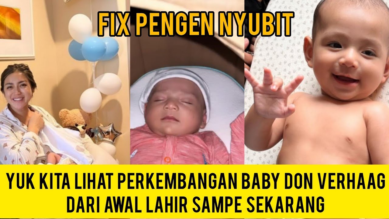 PERKEMBANGAN DON VERHAAG DARI AWAL LAHIR SAMPE SEKARANG GEMESS POOOLLL ...
