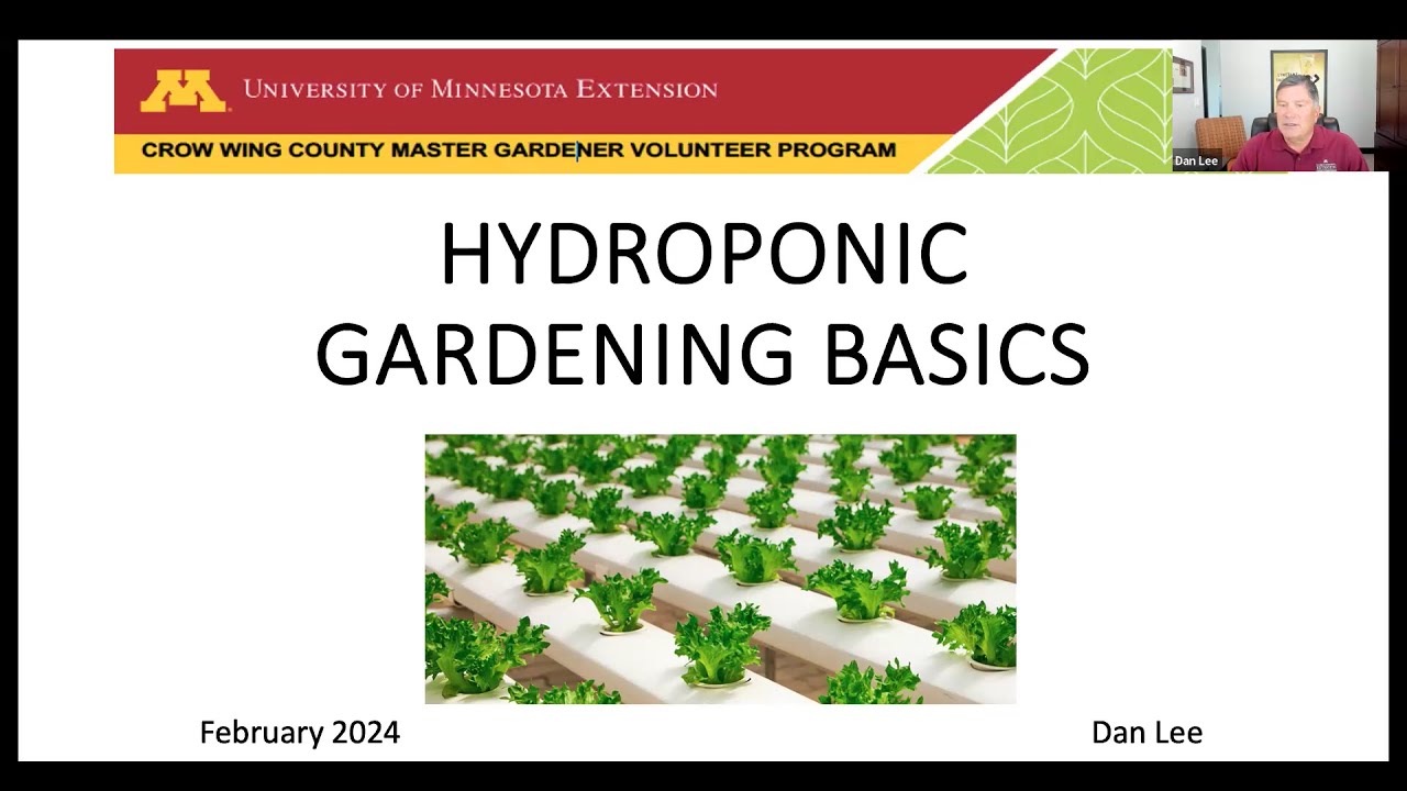 Hydroponic Gardening Basics - YouTube