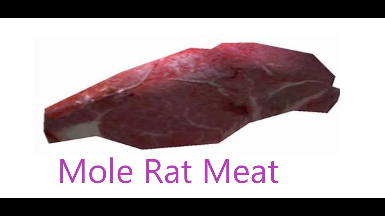 SPAWNING 1/10/100/1000 Mole Rat Meat - YouTube