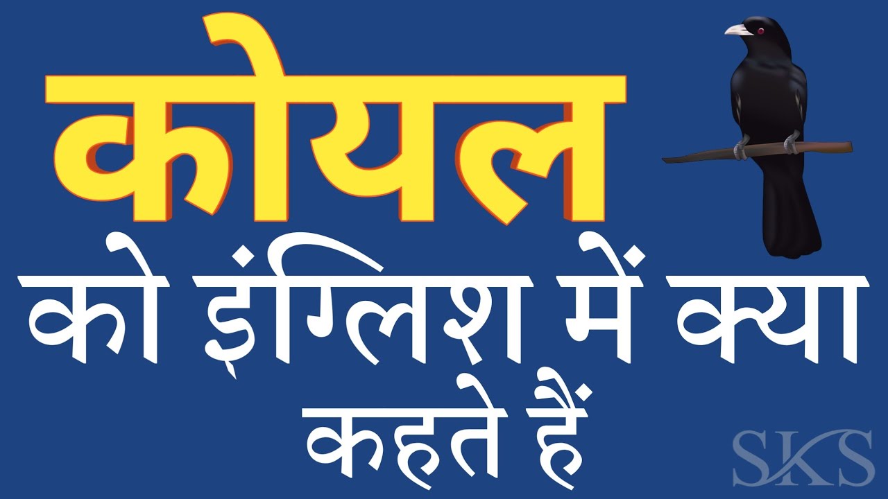 Koyal Ko English Mein Kya Kahate koyal-ko-english-mein-kya-kahate