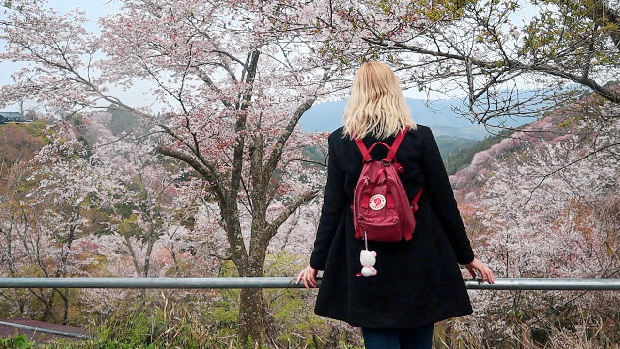 SPRING in JAPAN | Seasonal beauty | Tokyo, Kyoto, Nara - YouTube