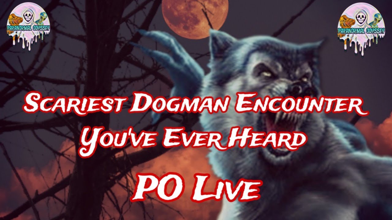 Scariest Dogman Encounter You’ve Ever Heard! Paranormal Odyssey Live ...